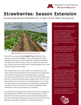 Growing Day-Neutral Strawberries in High Tunnel Table-Top Systems